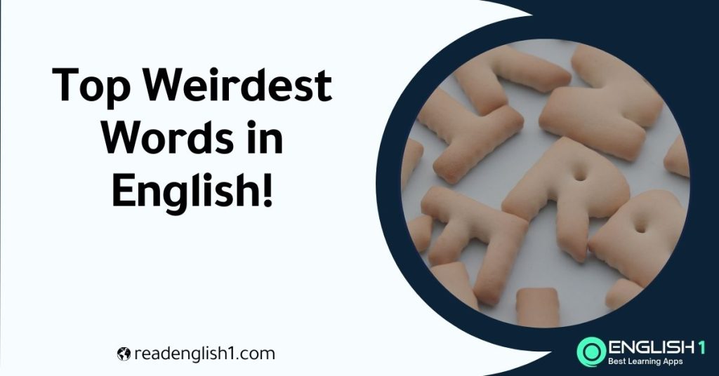 Top Weirdest Words in English! – English 1